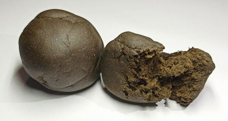 Hashish, Part 1: Charas